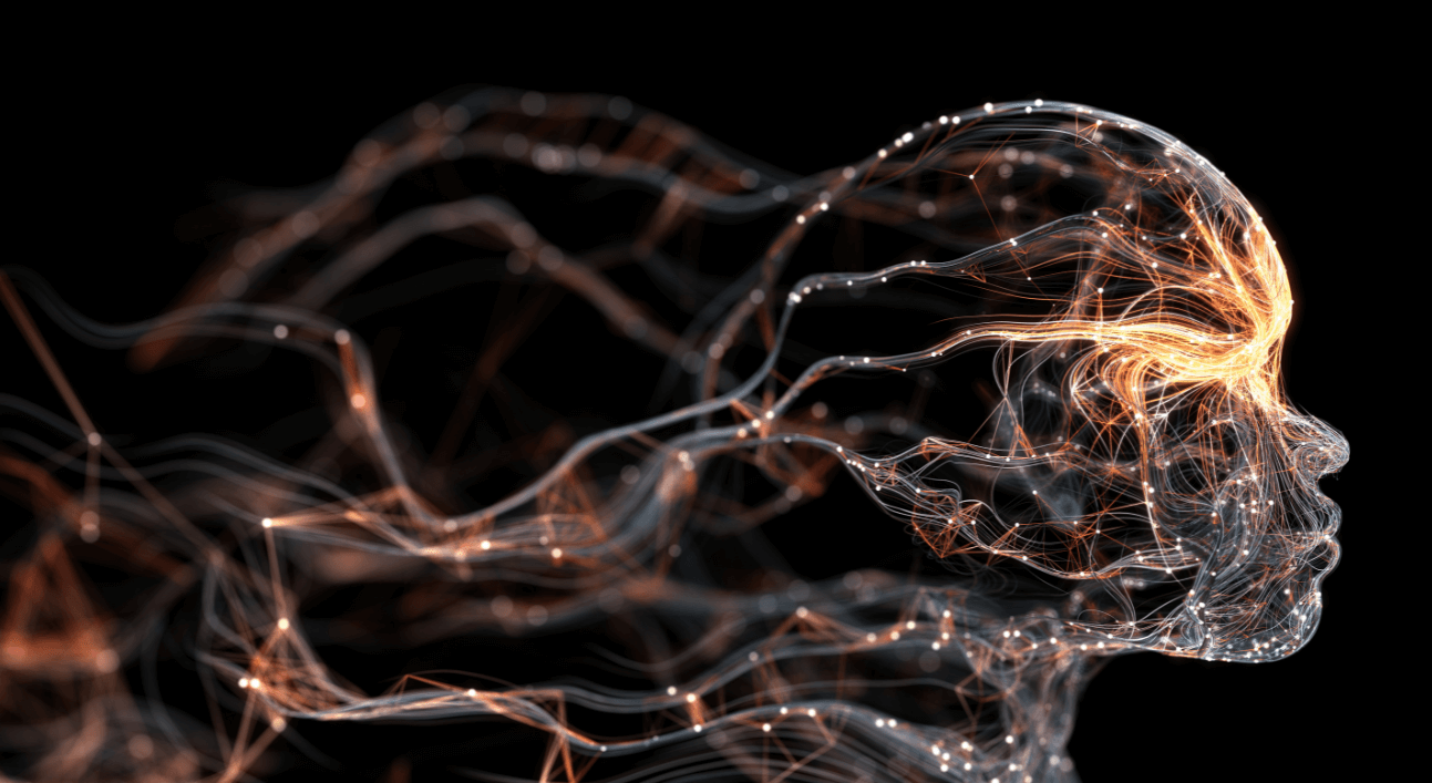 Rewire Your Neural Pathways | A Comprehensive Guide
